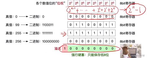 无符号、有符号整数的表示和运算无符号整数的表示和运算 Csdn博客