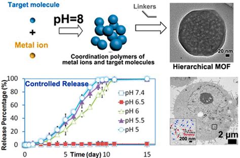 One Pot Synthesis Of Metalorganic Frameworks With Encapsulated Target Molecules And Their