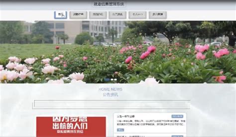 基于 Javaspringbootvue 的学生就业管理信息系统数据库（附源码，教程）高校学生就业管理系统数据库 Csdn博客