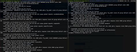 Ubuntu 2204 Network Mode Host Not Mapping Nics Into Container