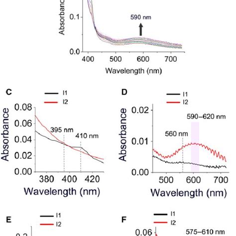 Uv Visible Stopped Flow Spectroscopy Suggests The Presence Of A New Download Scientific Diagram