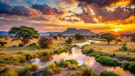 African Savannah Landscape On Sunset Or Sunrise Dusk Or Dawn Africa
