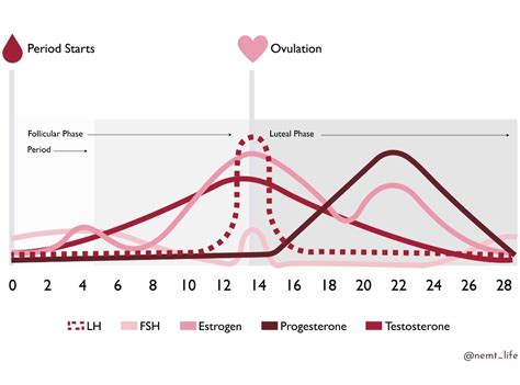 Menstrual Cycle Hormone Levels Chart A Comprehensive Guide To The
