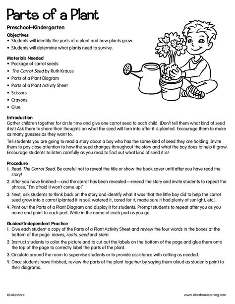 Parts Of A Plant Lesson Plan Lesson Plans Learning