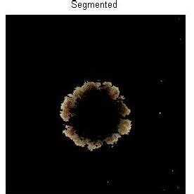 Fuzzy K Means Clustered Image Download Scientific Diagram