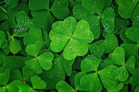 Luck Or Maths How Does Random Generator Work In Games