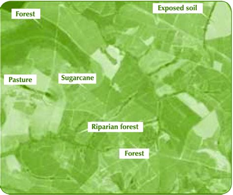 Example Of Satellite Image From Monitoring Of Vegetation Coverage Download Scientific Diagram