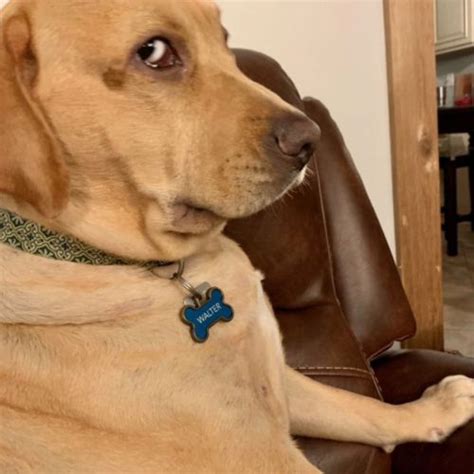 Offloading Splunk Data To S3 Is Creating Blind Spots Critical Logs Are… Ryan Z