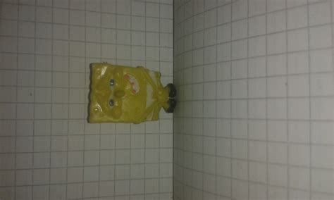 Sundjer Bob 56858735