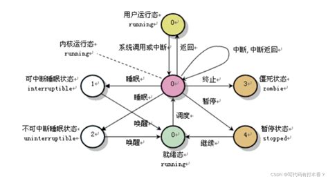 【c 服务器入门基础 2 进程管理】 c 进程管理 写代码有打本香？的博客 csdn博客