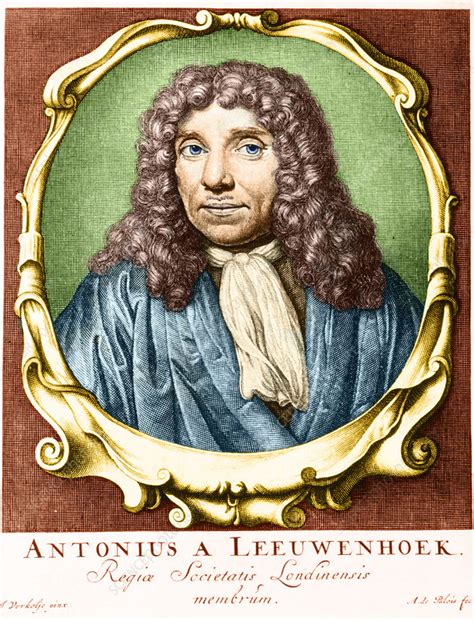 Was Hat Van Leeuwenhoek Erfunden Mdms