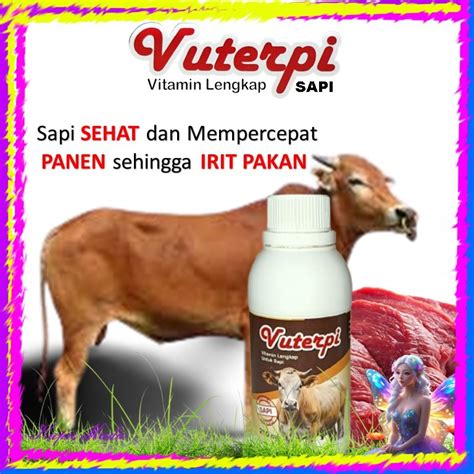 Jual Vitamin Sapi Agar Cepat Gemuk Vitamin Sapi Penggemuk Badan