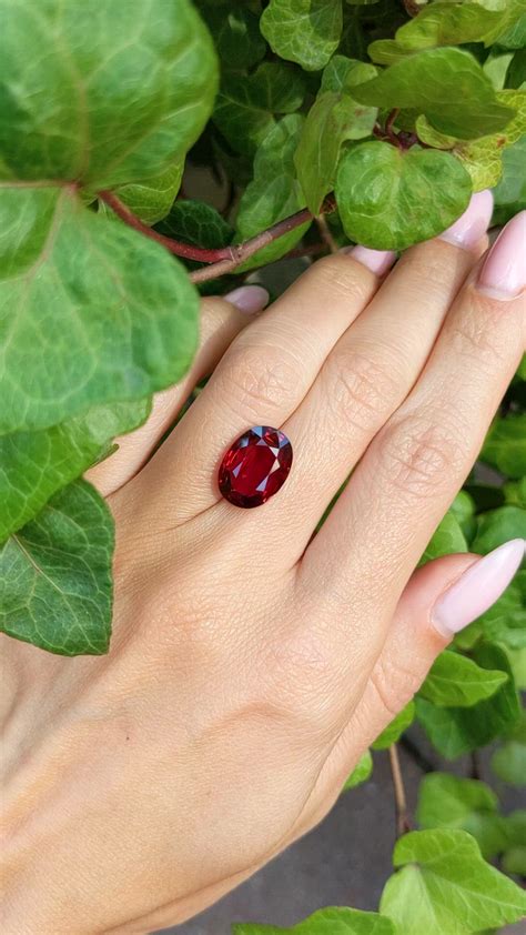 Loose Ruby Oval 7 03 Ct R14209 The Natural Ruby Company