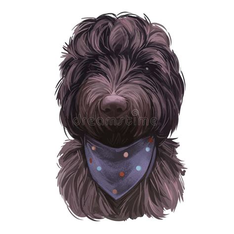 Cockapoo Stock Illustrations 135 Cockapoo Stock Illustrations