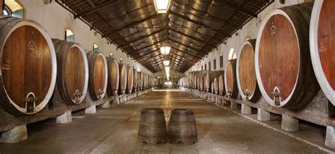 Wine Farms Near Lisbon Discover Walks Blog