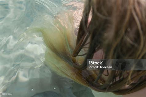 물에 떠있는 긴 금발 머리 젖은 머리는 이미지를 닫습니다 소금에 절인 바다 물과 태양 여름 헤어 케어 개념으로 인한 모발 손상 건강한 생활방식에 대한 스톡 사진 및 기타