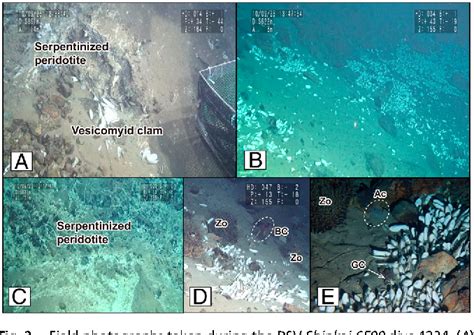 Figure 2 From A Serpentinite Hosted Ecosystem In The Southern Mariana Forearc Semantic Scholar