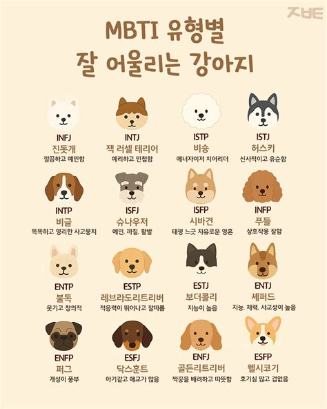 서울정보통 서울정보 서울맛집 서울카페 서울여행 지금 한강으로 놀러가야 하는 이유🧡 🌅노을 야경 맛집 세빛섬 튜브스터 한강 위에서 라면 치킨 등 맛난거 먹고 노을