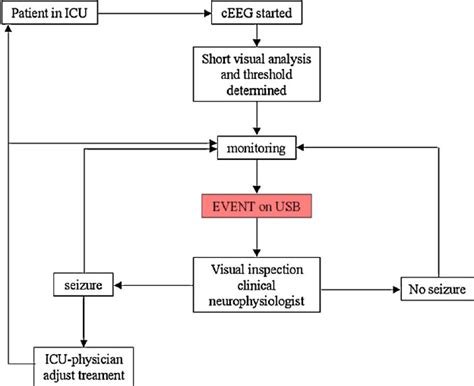 Flowchart Online Seizure Detection Download Scientific Diagram