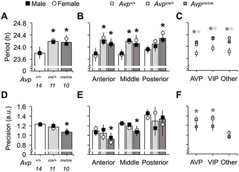 Vasopressin Regulates Daily Rhythms And Circadian Clock Circuits In A