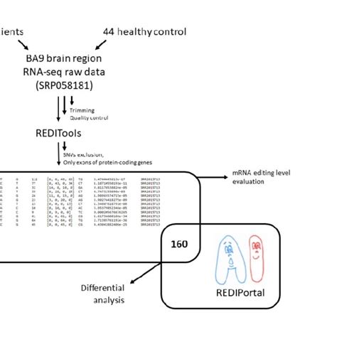 The Workflow Of Data Preprocessing Differential Rna Edited Site
