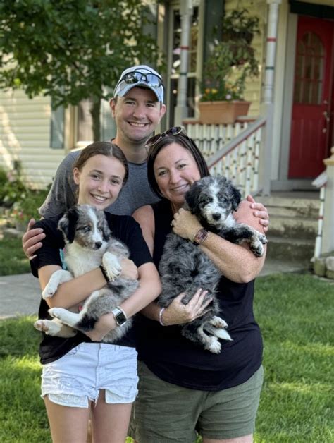 Reimagining Doodle Patch Farm Doodle Patch Farm