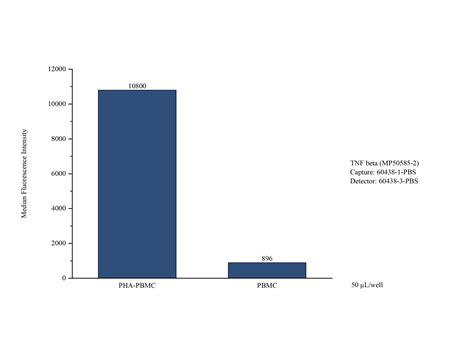 Tnf Beta Antibody 60438 3 Pbs Proteintech
