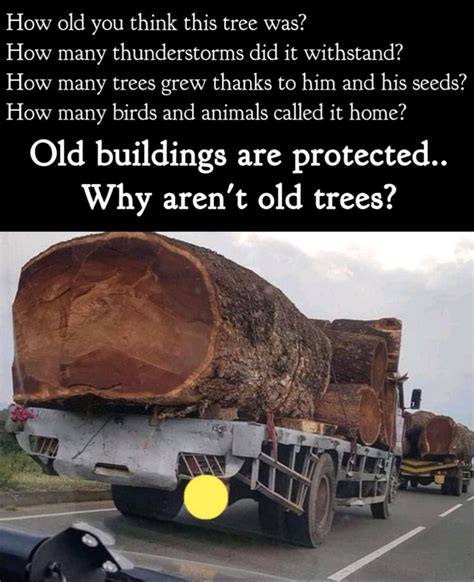 Julie Bindas Posted On Linkedin