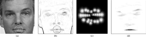 Figure 2 From Gender Recognition From Face Images With Trainable Cosfire Filters Semantic Scholar