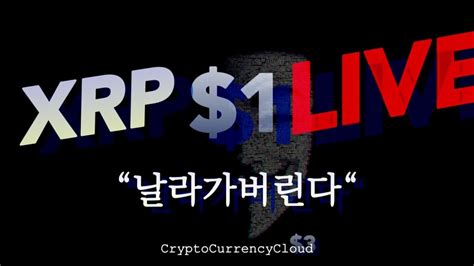 Sec 리플 스테이블코인도 저격ㅣ똑똑한 소비자는 Xrp를 얻는다 Youtube