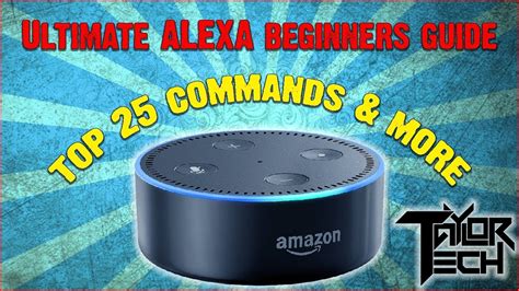 Alexa And Echo Beginners Guide Set Up Top Commands Youtube