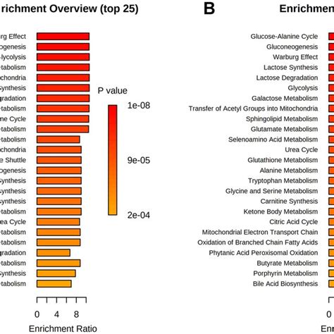 Metabolite Sets Enrichment Analysis Msea Based On The Comparison Of