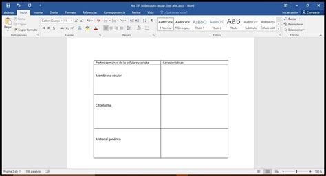 Проект шаблон Word