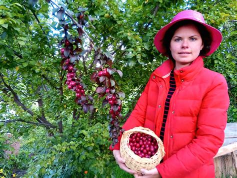 Mooi Boerenmeisje In Het Rood Online Puzzel