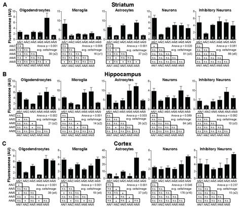 Summary Of Cell Type Specific Expression Analysis A Data Obtained Download Scientific Diagram