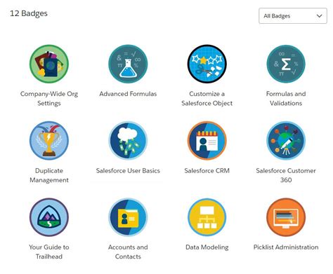 Swetha A N On Linkedin 📢 I Am Excited To Share That Ive Just Completed Salesforce Trailhead…