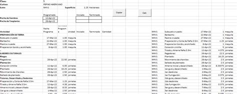 Excel Store And Paste Values With A Dynamic Array Stack Overflow