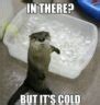 35 Hilariously Adorable Otter Memes To Brighten Your Day March 14 2024