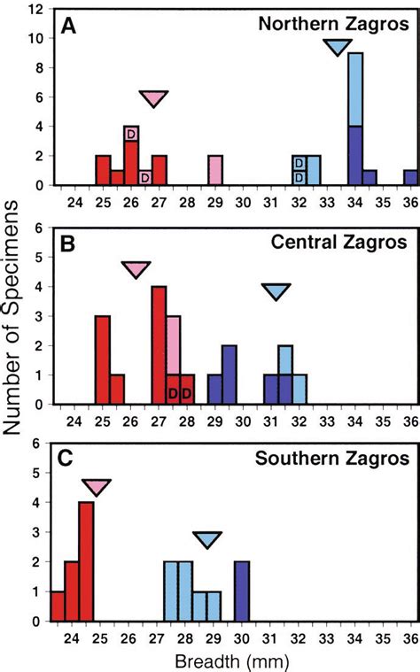 Greatest Breadth Of Distal Metacarpal At Epiphysis Of Modern Goats Download Scientific Diagram