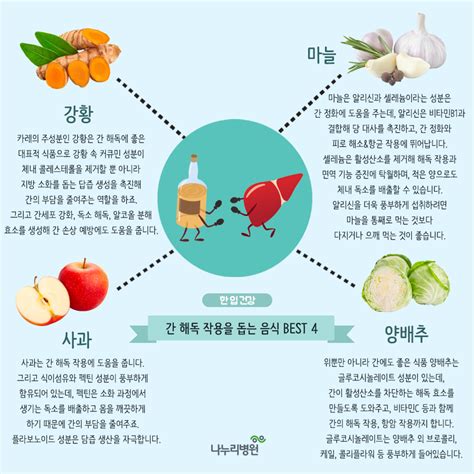 간해독음식 4가지 And 시너지 올리는 방법 A15