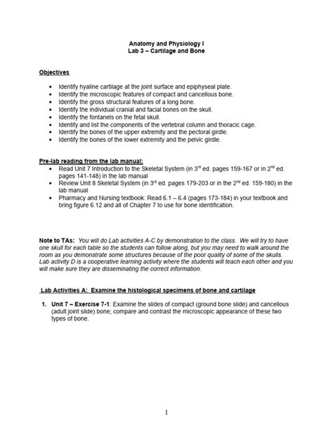 Ta Lab 3 Bone Cooperative Learning Version2 Pdf Pelvis Bone