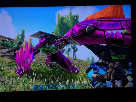 In My 300h Of Ark I Finally Got My First Quetzal And Its A Tek Variant