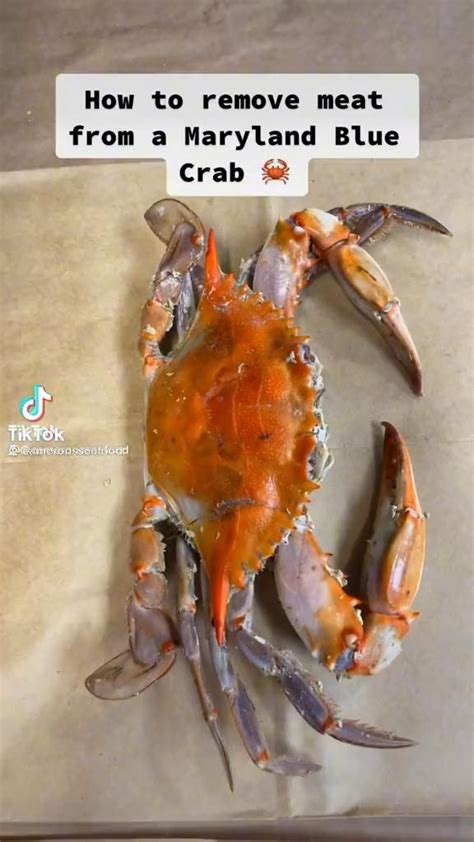 36 Best Blue Crab Recipe Ideas In 2025 Crab Recipes Seafood Recipes