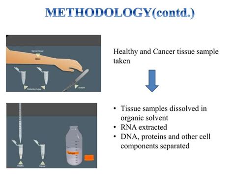 Dna Microarray Ppt