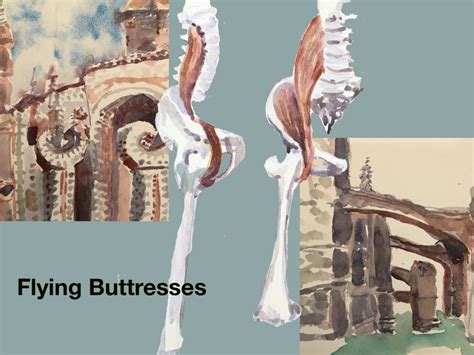 SENSING THE DEEP CORE Psoas Major Movements Afoot