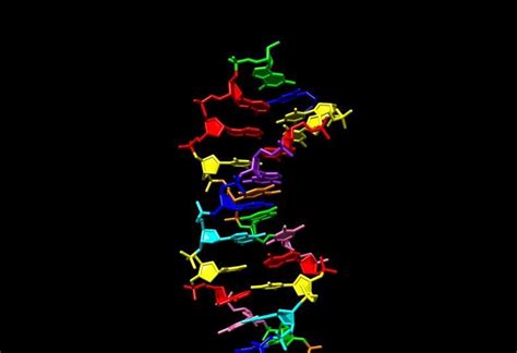 Eight Letter Genetic Code Hints At How Alien Life Might Evolve