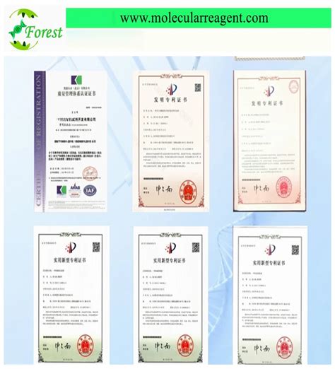 Genomic Dna Isolation Kit Dna Isolation And Purification Molecular Biology Lab Reagent For Lab
