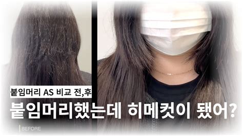 나는 히메컷 붙임머리를 원한게 아닌데요 Youtube