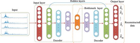 network structure of the feature extractor download scientific diagram