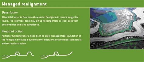 Managed Realignment Schemes Ecoshape
